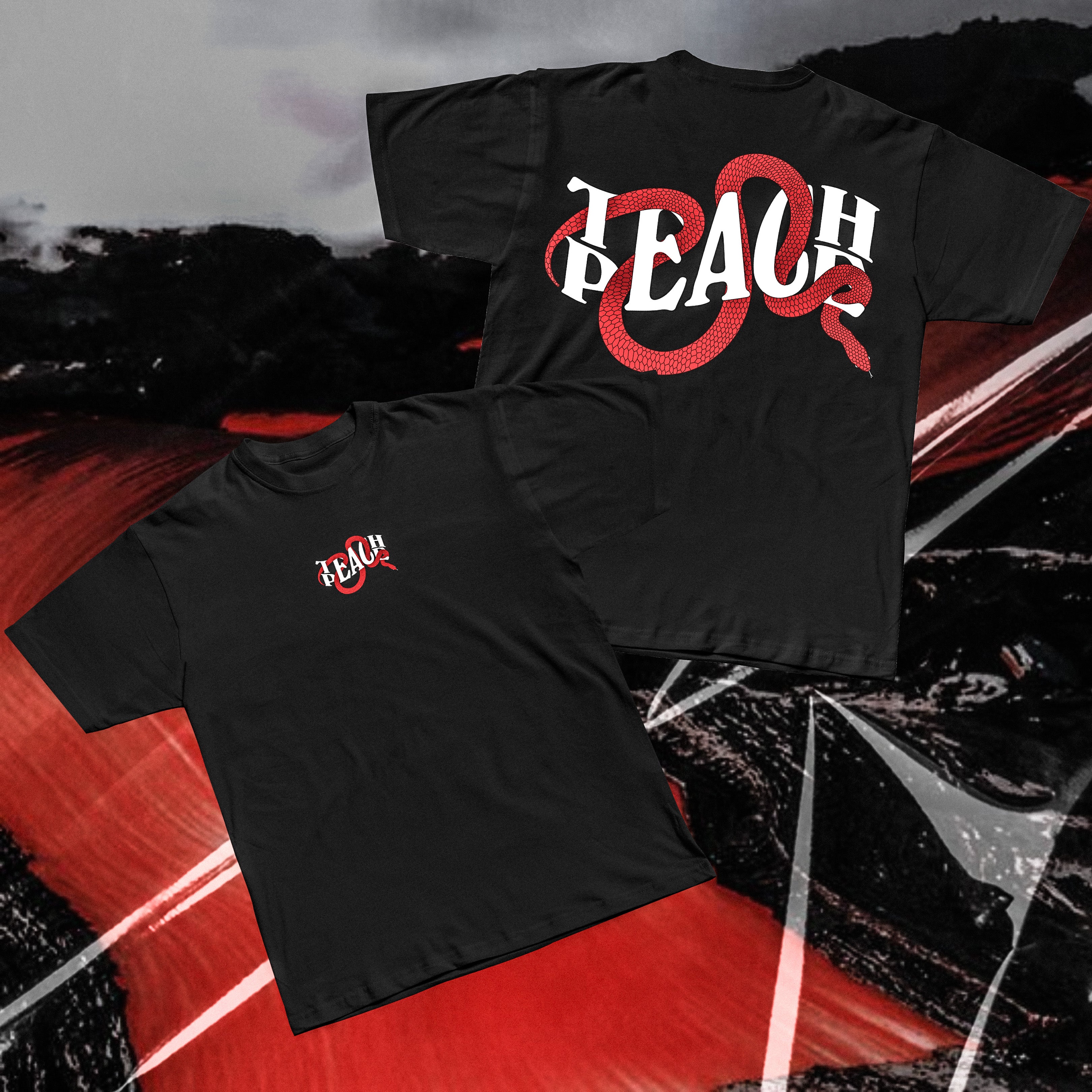 TEACH PEACE SNAKE Regular T-shirt – chew.n.gum